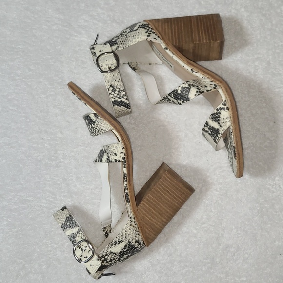 Steve Madden | Shoes | Steve Madden Collins Gray Snake Python Block ...
